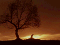 Grave GIFs - Get the best gif on GIFER