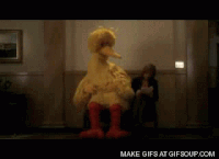 Big bird GIFs - Get the best gif on GIFER