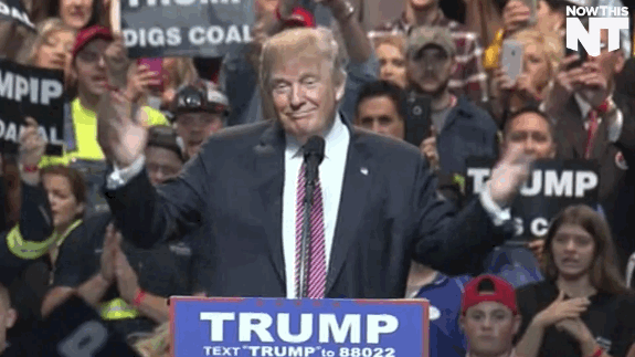 Candidate GIFs - Get the best gif on GIFER