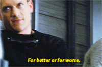 Loft GIFs - Get the best gif on GIFER