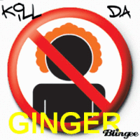 Ginger GIFs - Get the best gif on GIFER