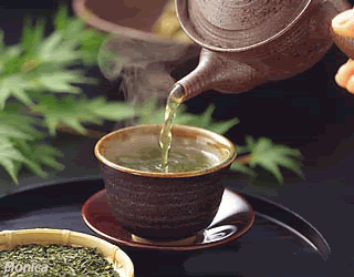 Herbal GIFs - Get the best gif on GIFER