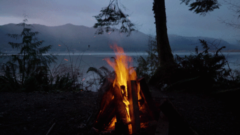 Lakeside GIFs - Get the best gif on GIFER
