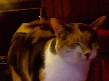 Smackin GIFs - Get the best gif on GIFER