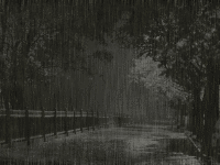 Melancholy GIFs - Get the best gif on GIFER