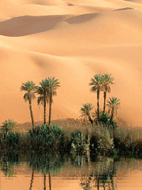 Namib GIFs - Get the best gif on GIFER