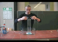 Dental GIFs - Get the best gif on GIFER