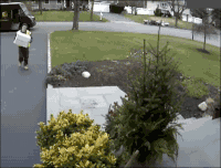 Fedex GIFs - Get the best gif on GIFER