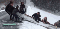 Sled GIFs - Get the best gif on GIFER