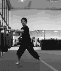 Martial arts GIFs - Get the best gif on GIFER