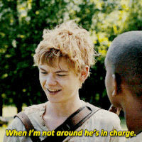 Newt GIFs - Get the best gif on GIFER