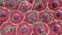 Cell GIFs - Get the best gif on GIFER