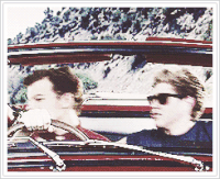 Lt GIFs - Get the best gif on GIFER