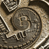 Zcash GIFs - Get the best gif on GIFER