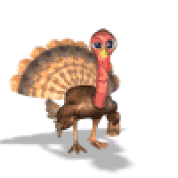 Turkeys GIFs - Get the best gif on GIFER