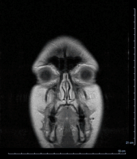 Anatomy GIFs - Get the best gif on GIFER