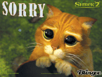 Sorry GIFs - Get the best gif on GIFER