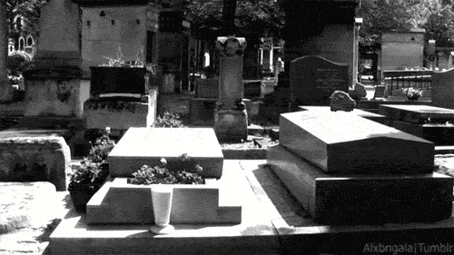 Cementery GIFs - Get the best gif on GIFER