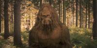 Sasquatches GIFs - Get the best gif on GIFER
