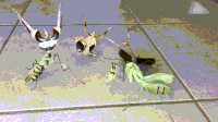 Mantis GIFs - Get the best gif on GIFER