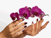 Manicure GIFs - Get the best gif on GIFER