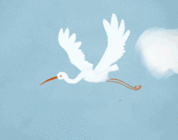 Birds GIFs - Get the best gif on GIFER