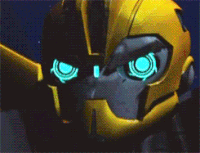 Bumblebee GIFs - Get the best gif on GIFER