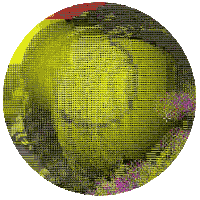 Redondo GIFs - Get the best gif on GIFER