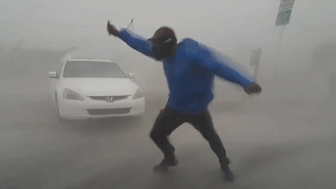 Meteorologist GIFs - Get the best gif on GIFER