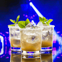 Vodka GIFs - Get the best gif on GIFER