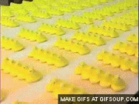Peeping GIFs - Get the best gif on GIFER