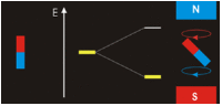 Structural GIFs - Get the best gif on GIFER
