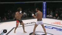 Fluffer GIFs - Get the best gif on GIFER