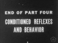 Conditioned reflexes GIF - Conseguir el mejor gif en GIFER