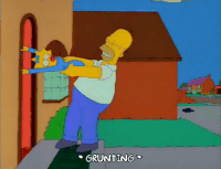 Pull GIFs - Get the best gif on GIFER