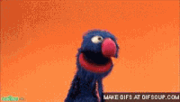 Grover GIFs - Get the best gif on GIFER