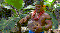 Coconut GIFs - Get the best gif on GIFER