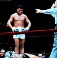 Ali GIFs - Get the best gif on GIFER