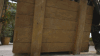 Mauer GIFs - Get the best gif on GIFER