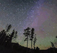 Halfway GIFs - Get the best gif on GIFER