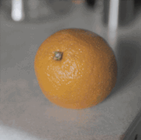 Schofferhofer grapefruit GIFs - Get the best gif on GIFER