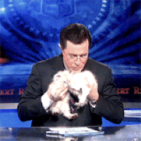 Handheld GIFs - Get the best gif on GIFER