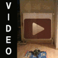 Fragment GIFs - Get the best gif on GIFER