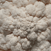 Incoming GIFs - Get the best gif on GIFER