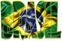 Brasil GIFs - Get the best gif on GIFER