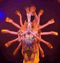 Portion GIFs - Get the best gif on GIFER