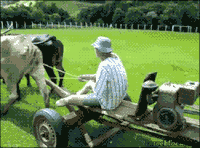 Mower GIFs - Get the best gif on GIFER