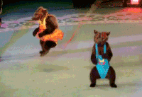 Jumprope GIFs - Get the best gif on GIFER