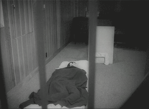 Escape from prison GIF - Conseguir o melhor gif em GIFER