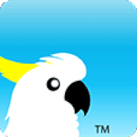 Cockatoo GIFs - Get the best gif on GIFER